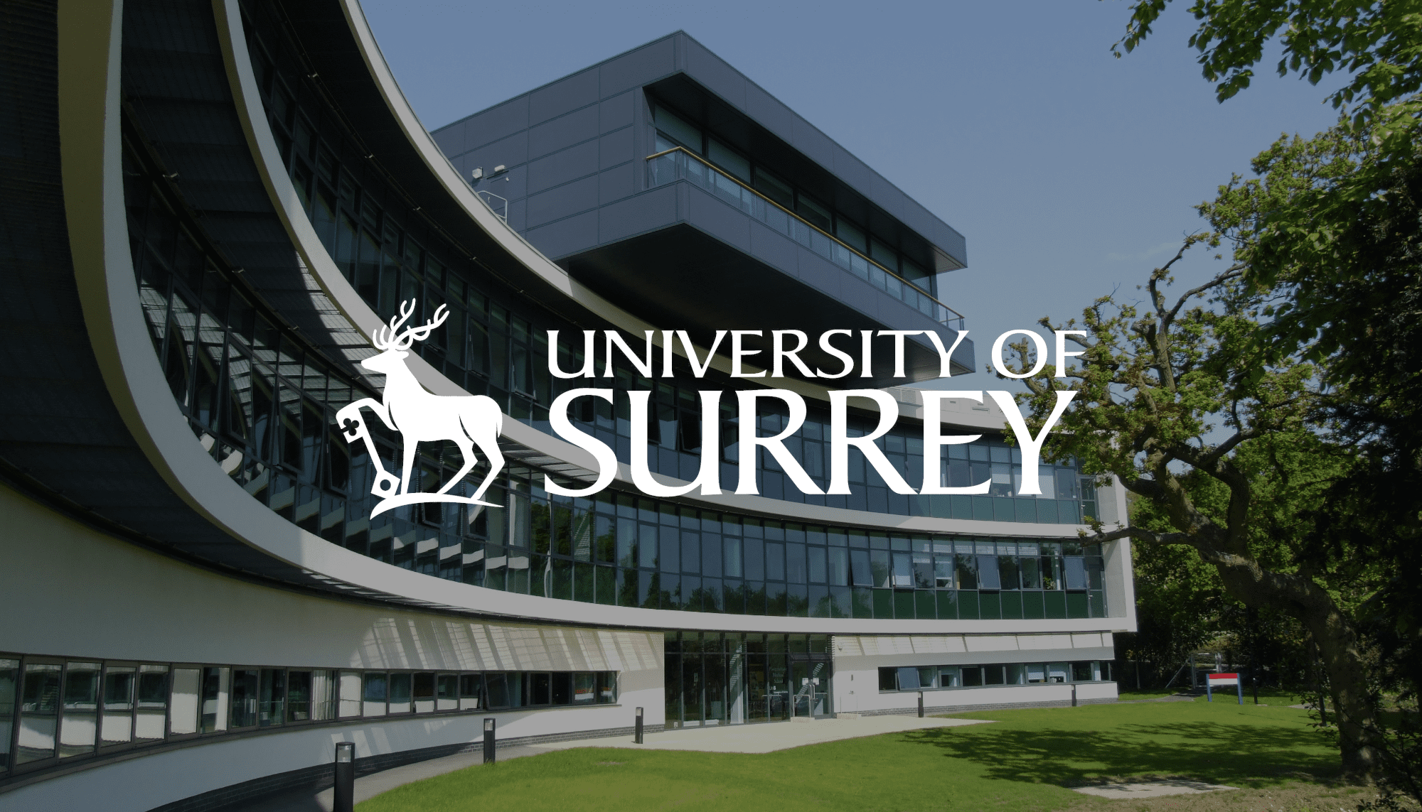 University of Surrey | Design Agency Surrey | Yazaroo